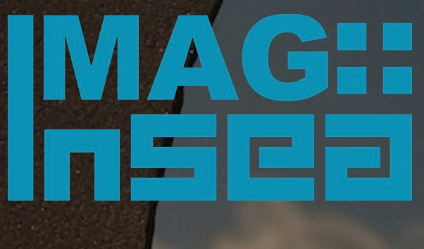 Interested in publishing your work? - InSEA