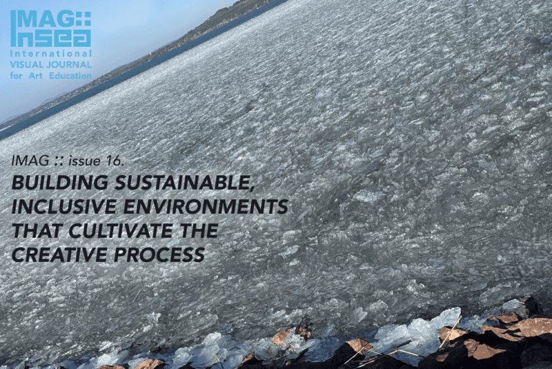 About the Publications Board - InSEA